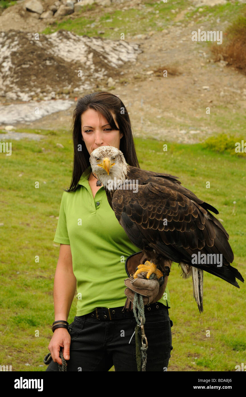 Birds in Motion Bald Eagle and handler on Grouse Mountain at Vancouver ...