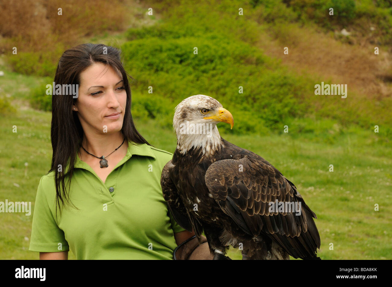 Birds in Motion Bald Eagle and handler on Grouse Mountain at Vancouver ...