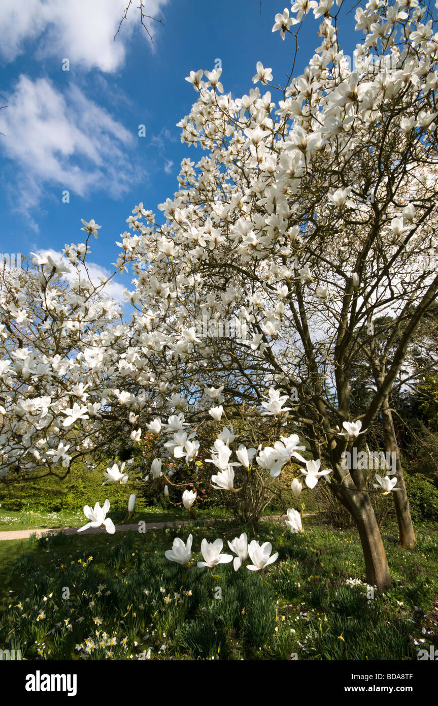 Spring sussex hi-res stock photography and images - Alamy