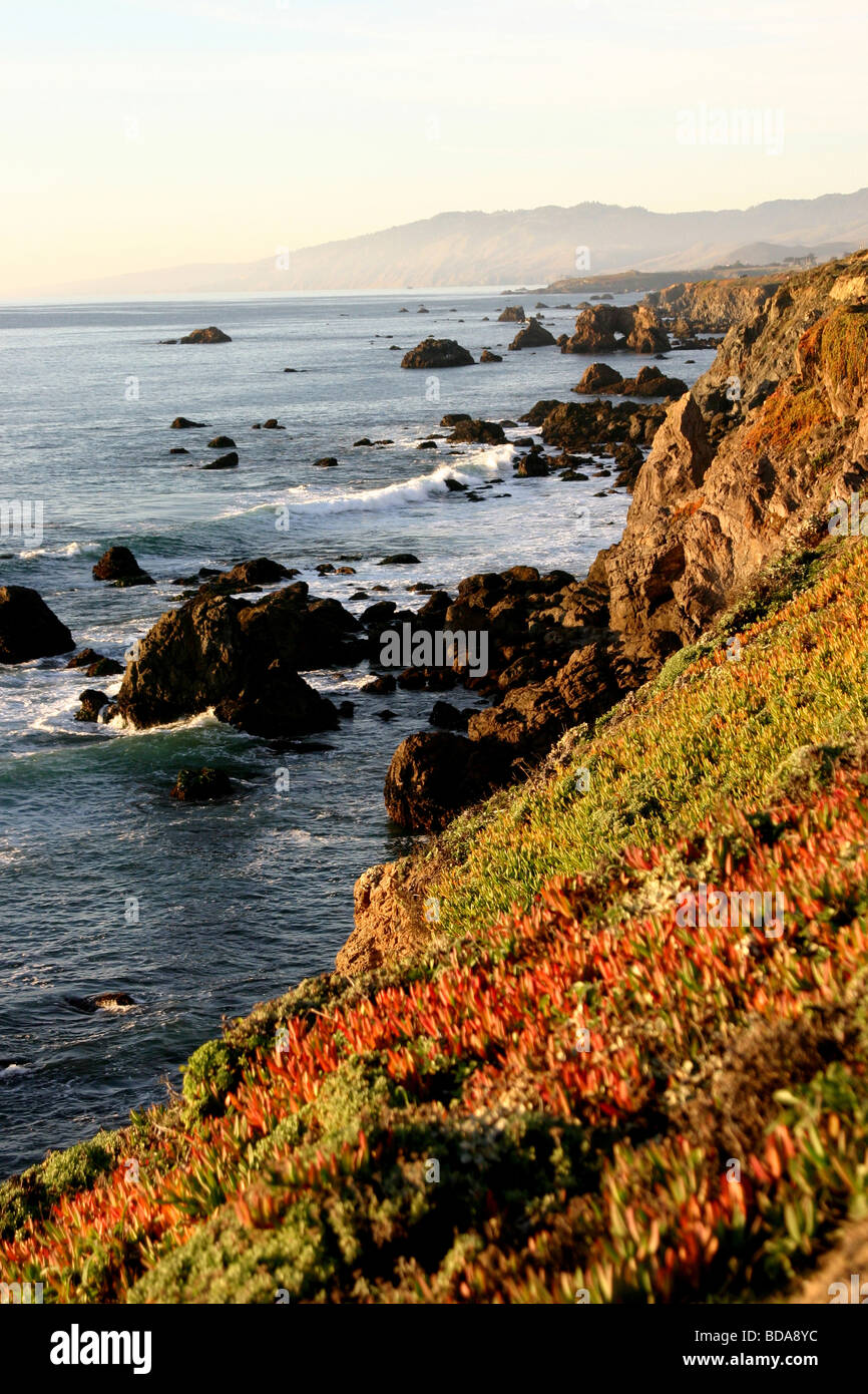 Pacific coast bodega bay hi-res stock photography and images - Alamy