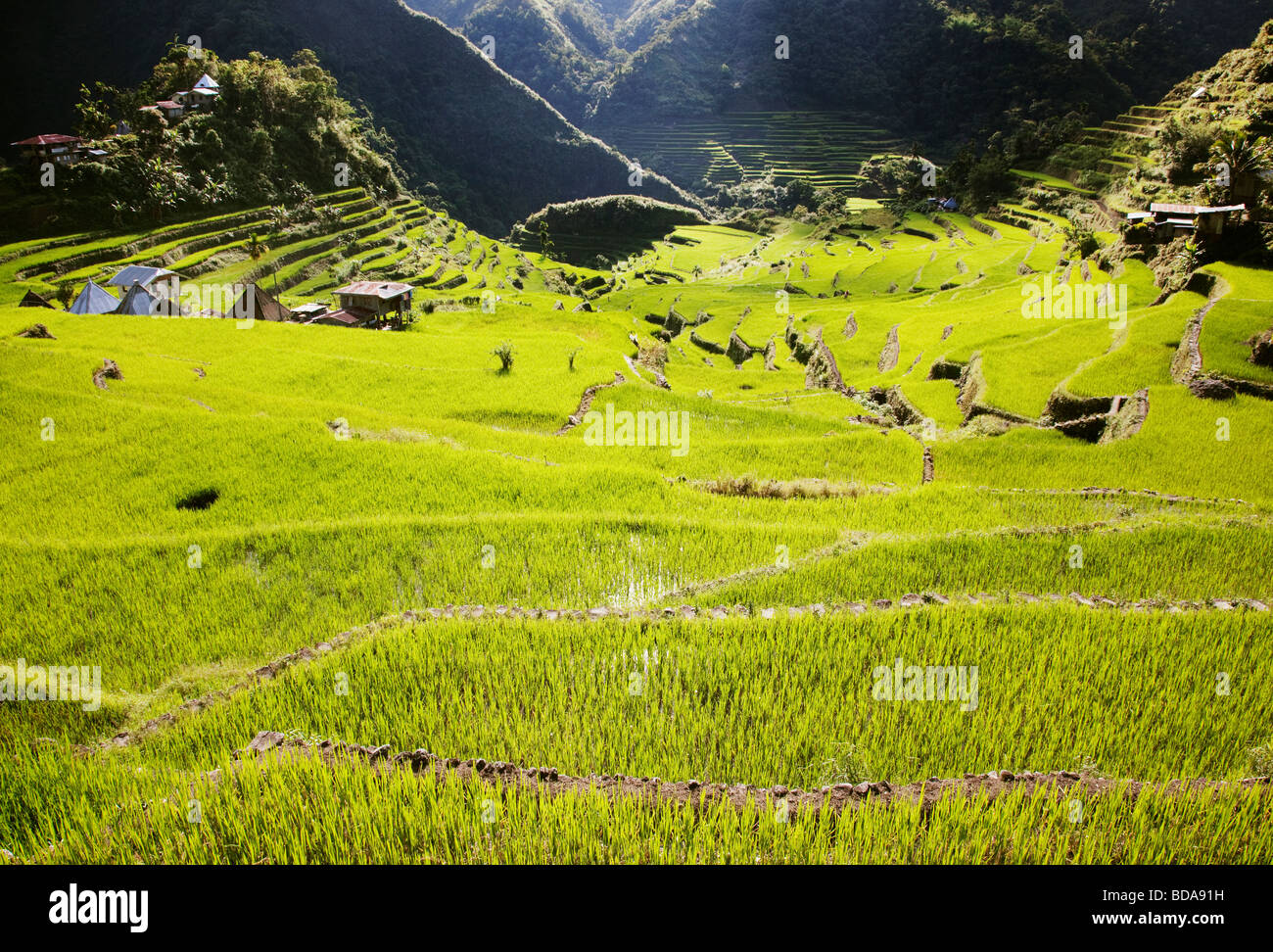 Rice terraces Batad Ifugao Province Northern Luzon Philippines Stock ...