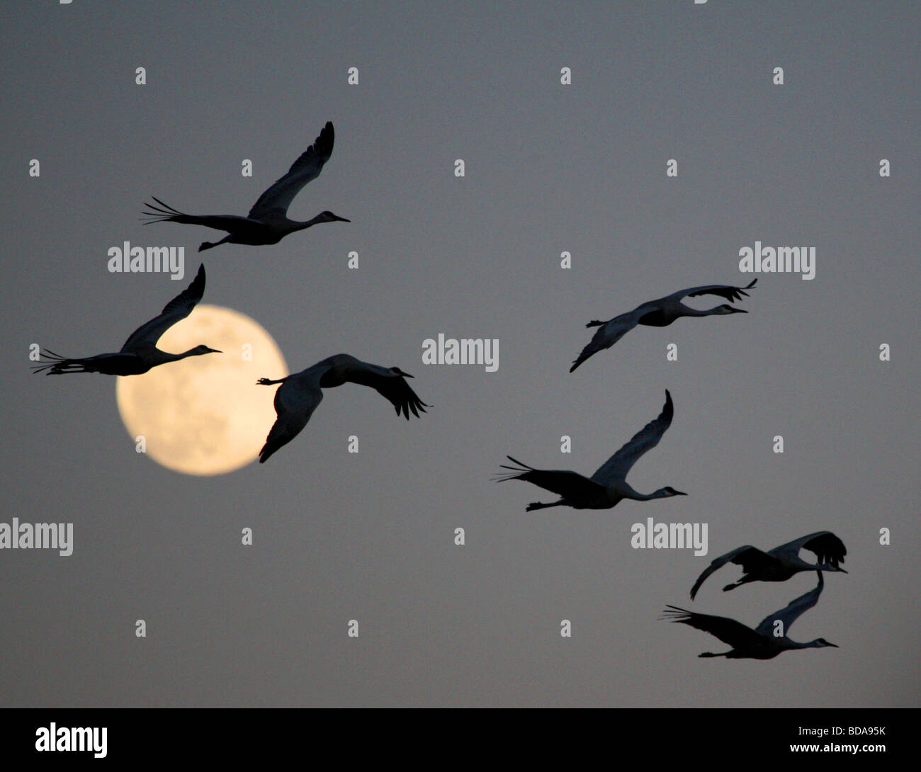 Flying To The Moon High Resolution Stock Photography and Images - Alamy