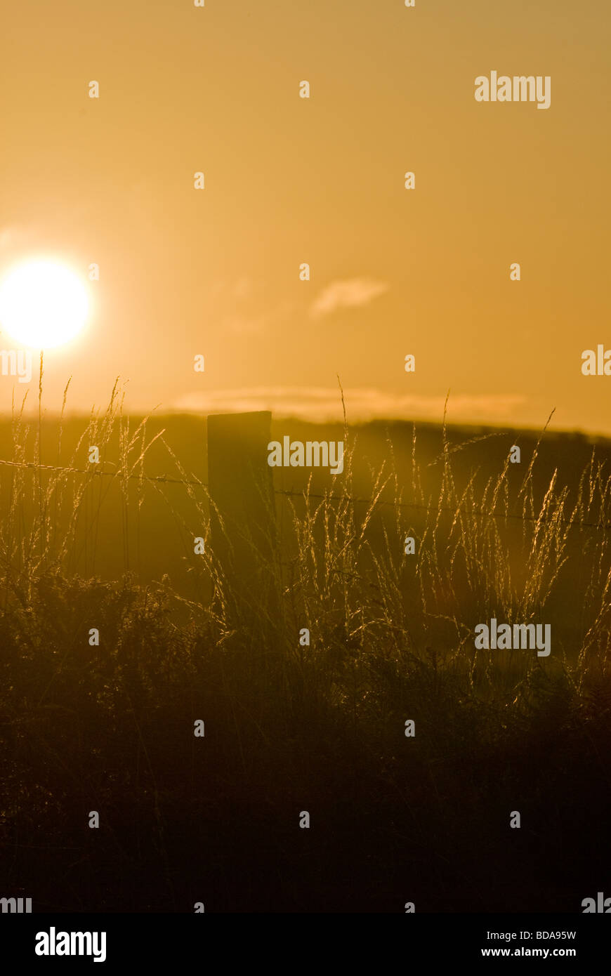 Golden Sun in Dorset Sunrise Stock Photo - Alamy