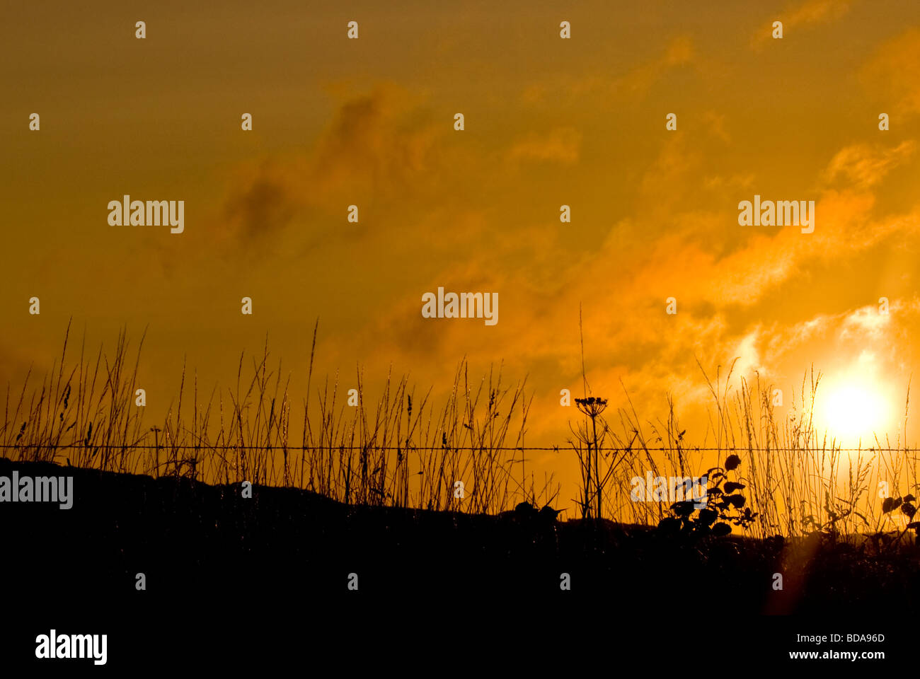 Golden Sun in Dorset Sunrise Stock Photo - Alamy