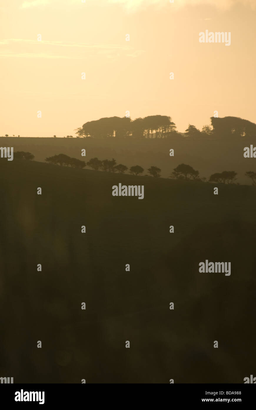 Golden Sun in Dorset Sunrise Stock Photo - Alamy