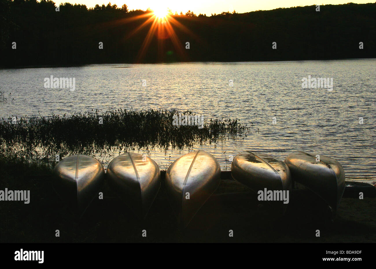 Forefront view point hi-res stock photography and images - Alamy