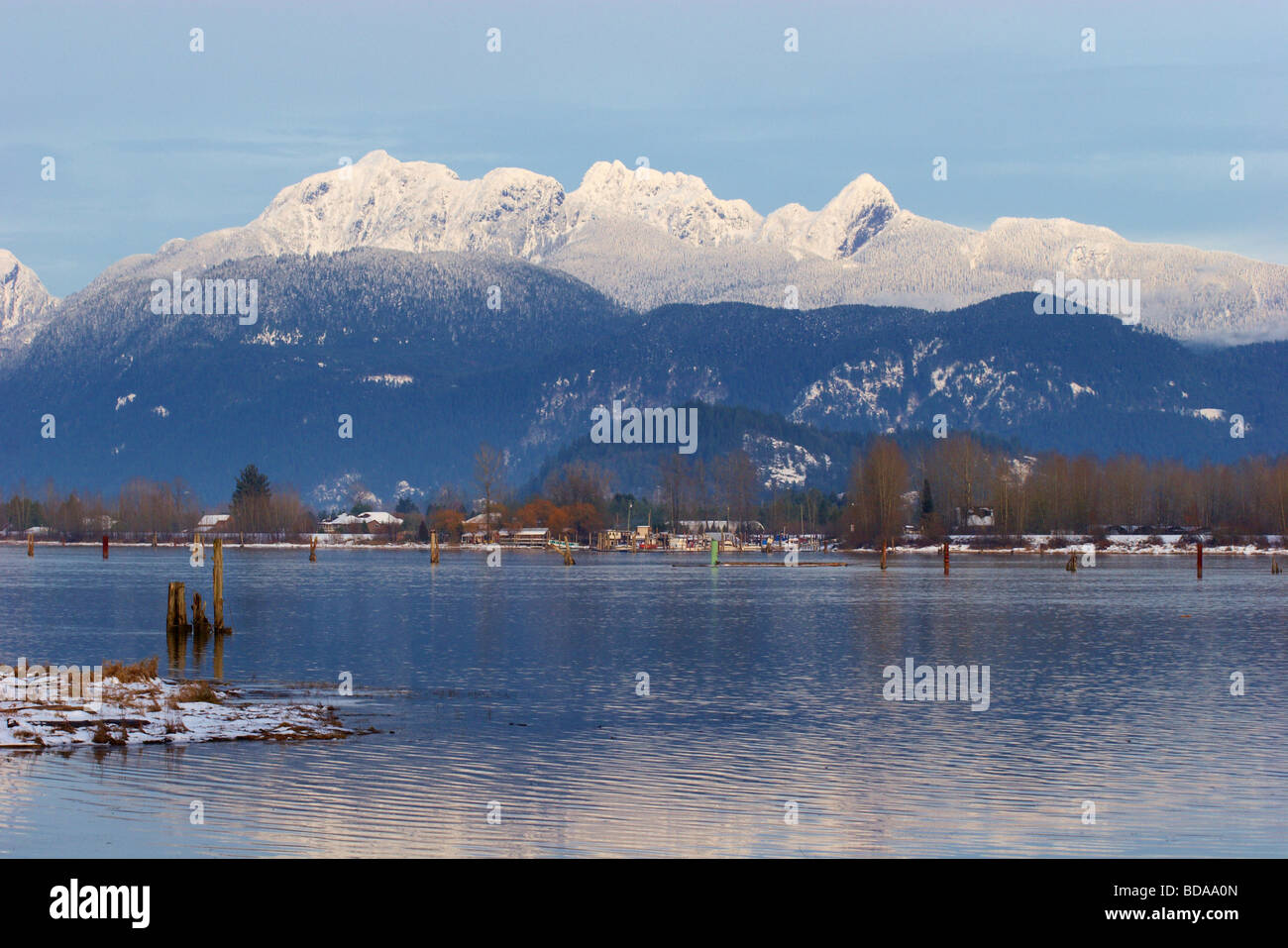 Pitt river behind hi-res stock photography and images - Alamy