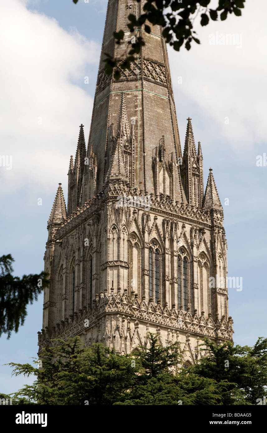 Chapter house salisbury cathedral hi-res stock photography and images ...