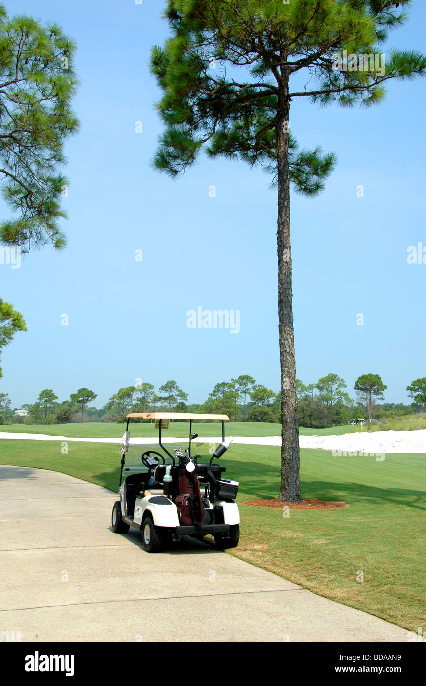 Golf cart on path of golf course Stock Photo - Alamy