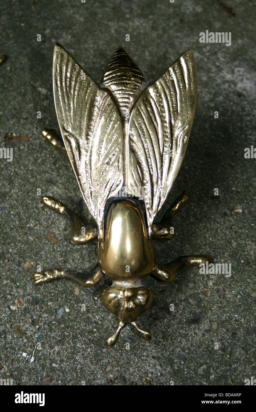 Insect buzz hi-res stock photography and images - Alamy