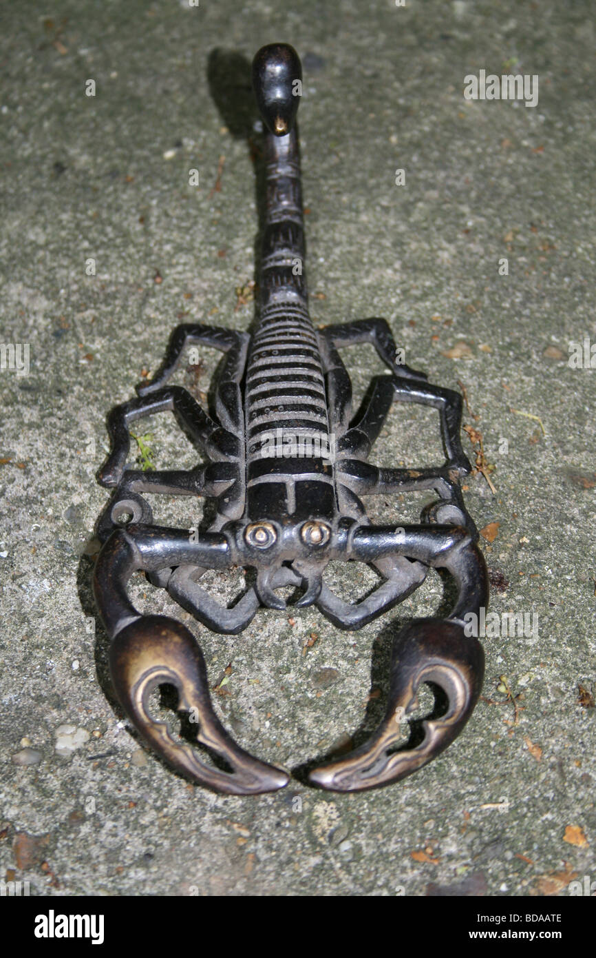 Scary scorpion hi-res stock photography and images - Alamy