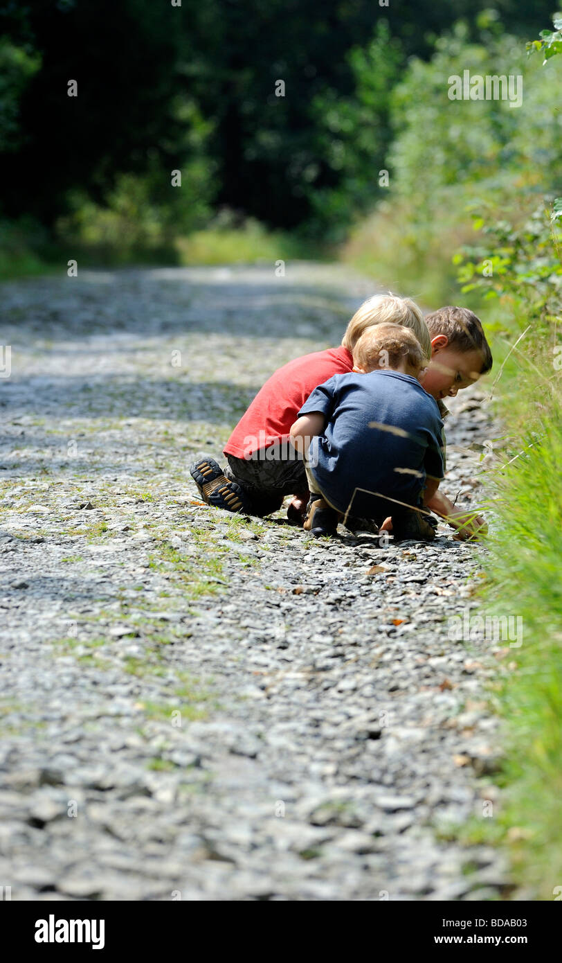 Little children boys playing on dirt track in forest Stock Photo - Alamy