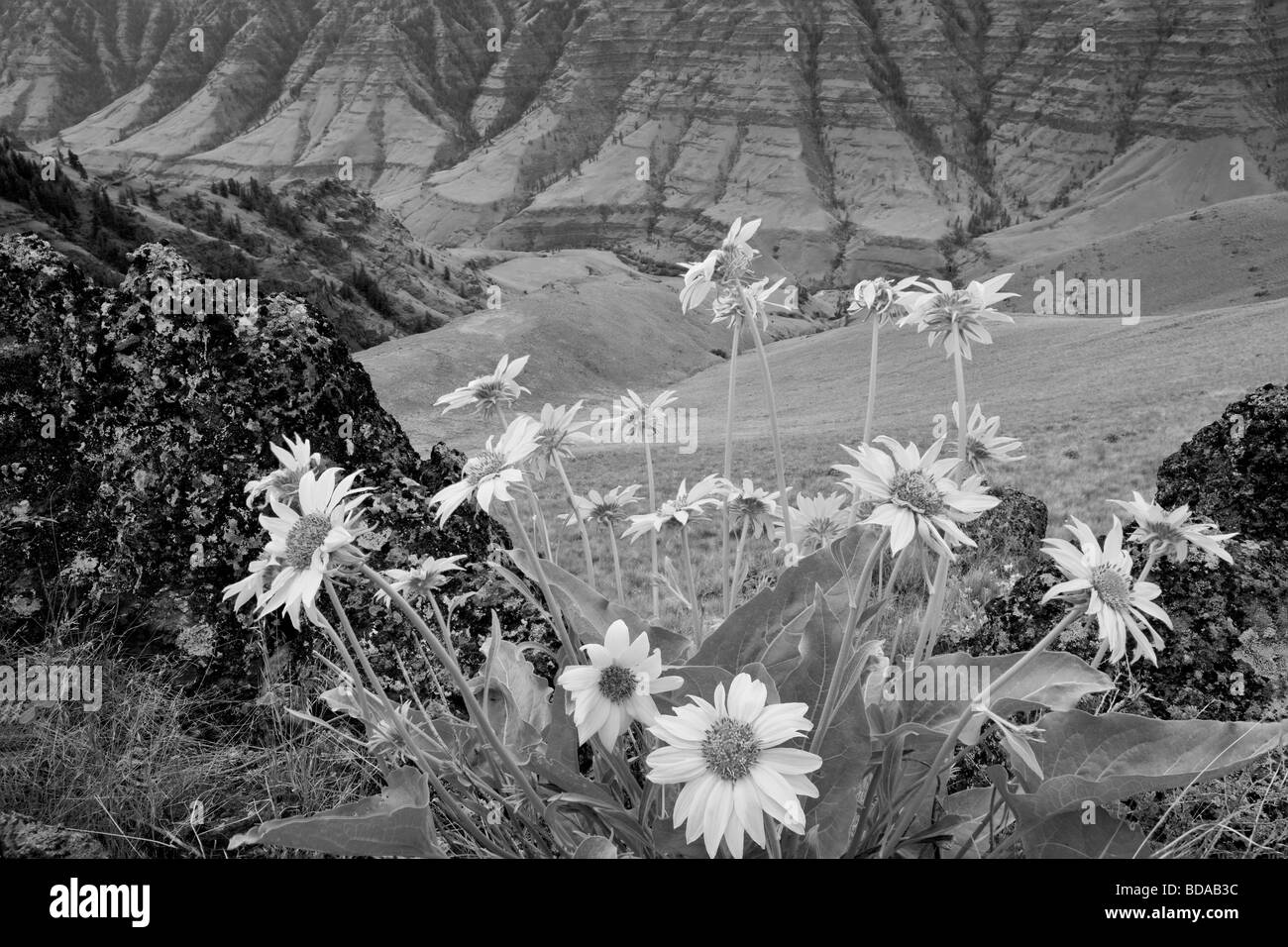 Imnaha canyon hi-res stock photography and images - Alamy