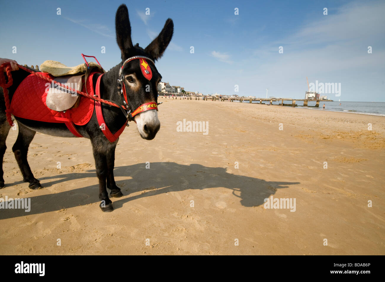 Donkey rides seaside beach hi-res stock photography and images - Alamy
