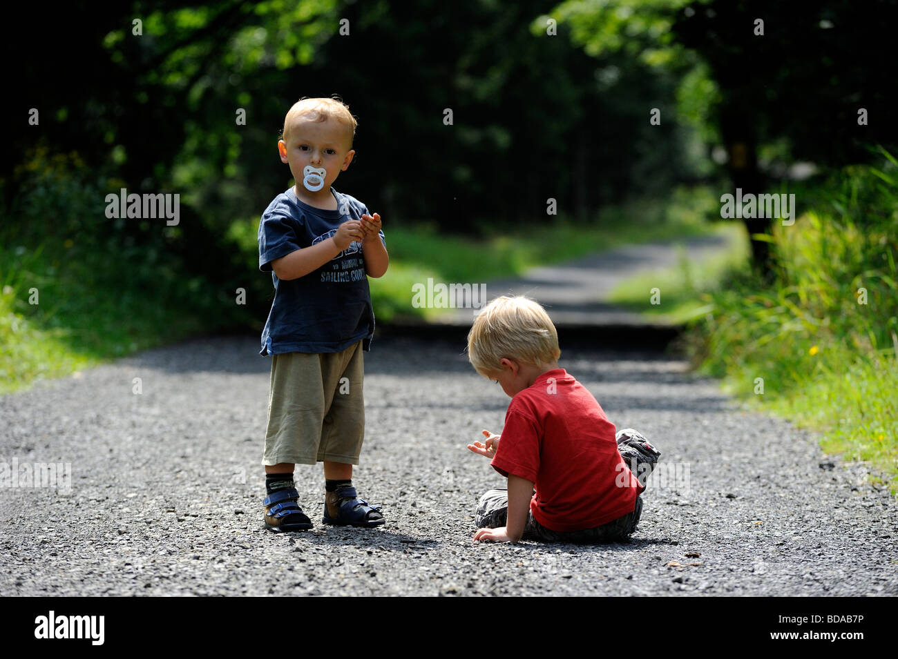 Little children boys playing on dirt track in forest Stock Photo - Alamy