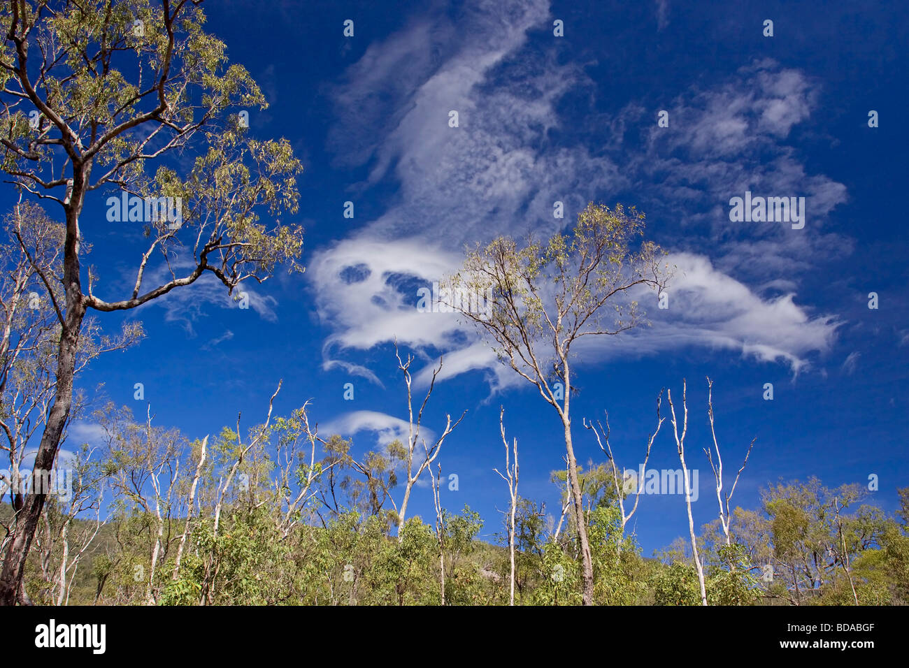 Cloud shape hi-res stock photography and images - Alamy