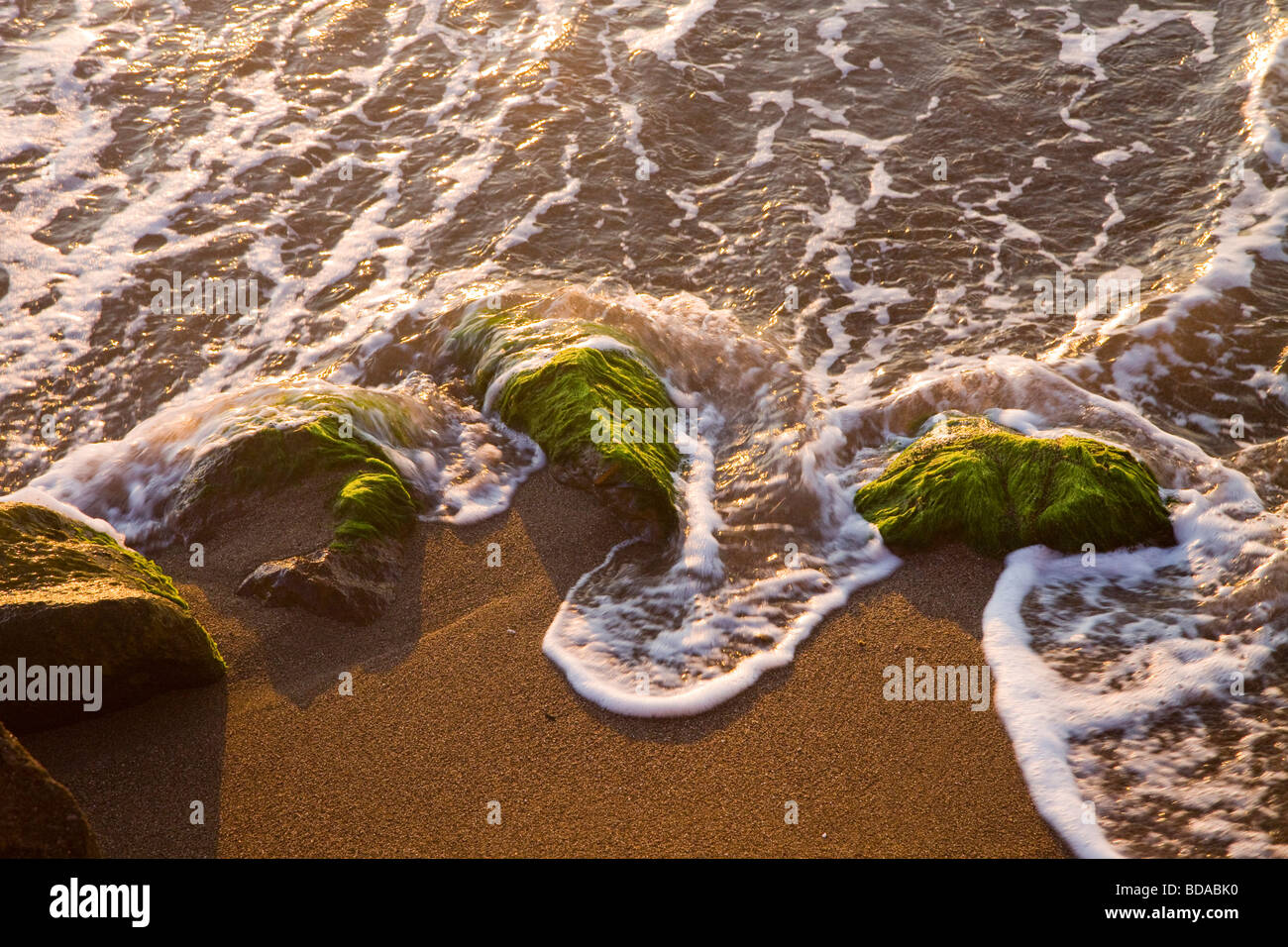 Lesvos mytilini beach hi-res stock photography and images - Alamy