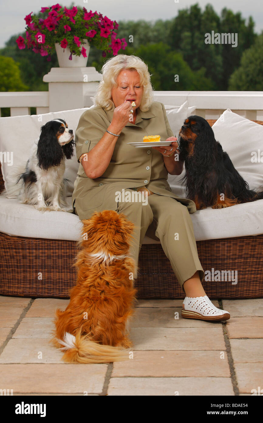 Woman with Mixed Breed Dog and Cavalier King Charles Spaniel tricolour ...