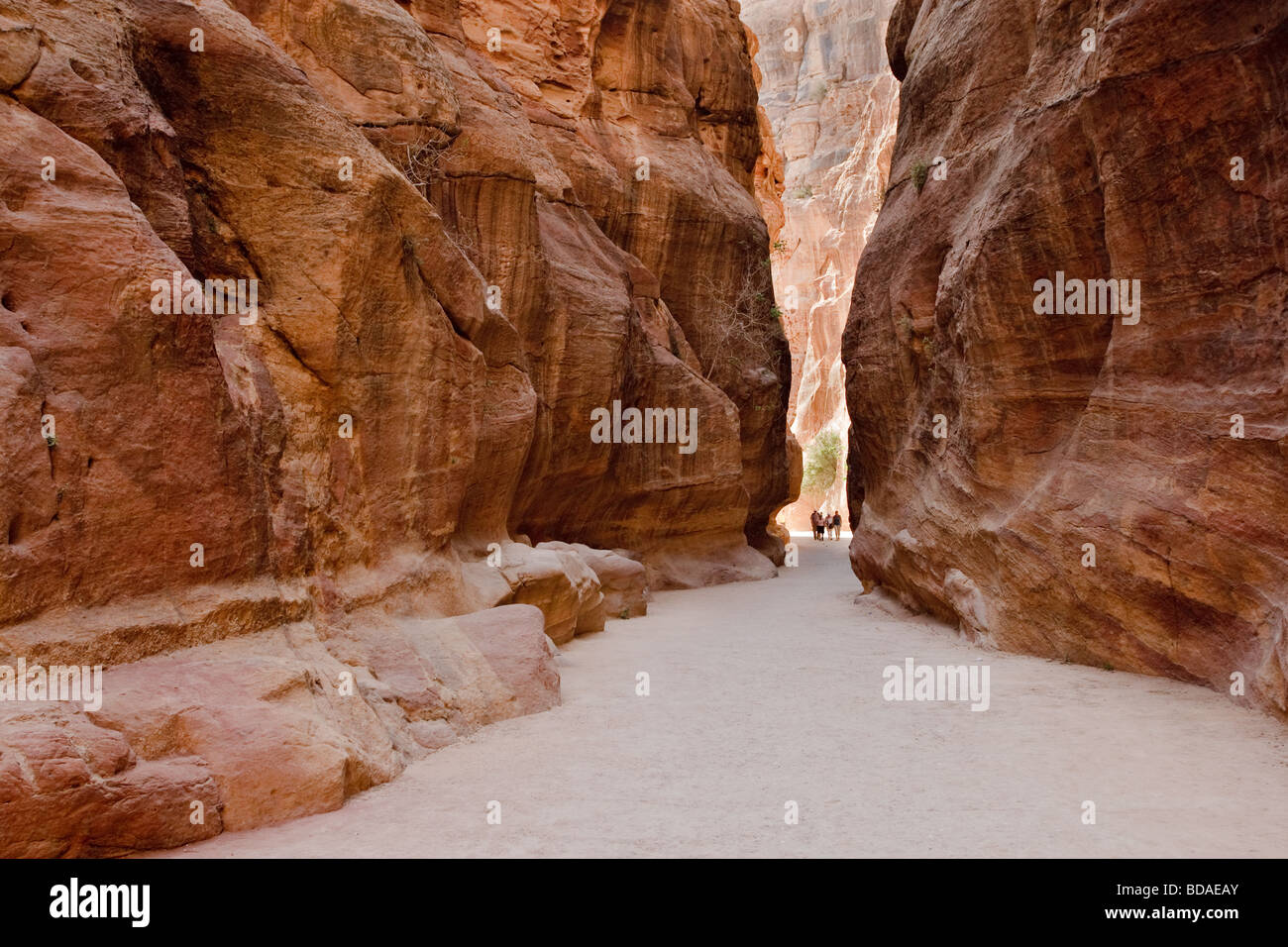 Tourists walking through The Siq, Petra, Jordan Stock Photo - Alamy