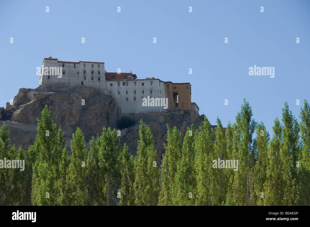 Trees with monastery in the background, Thiksey Monastery, Ladakh ...