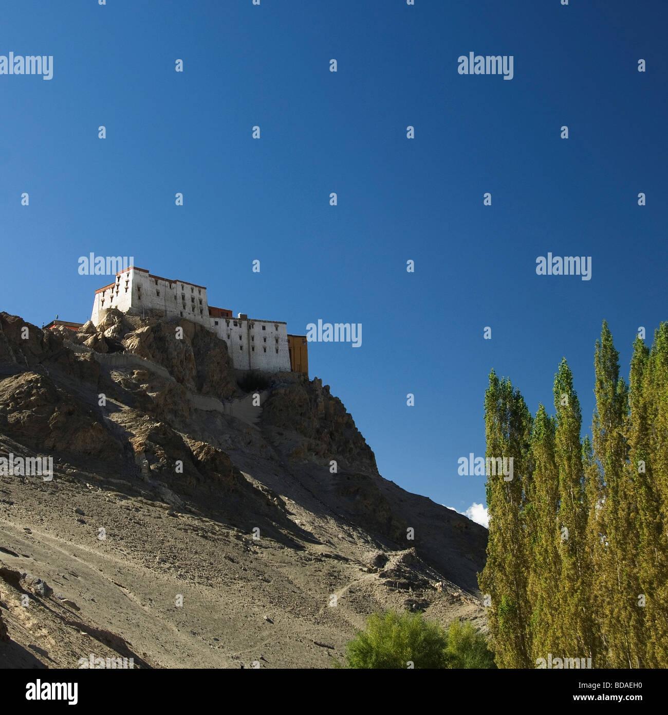 Trees with monastery in the background, Thiksey Monastery, Ladakh ...