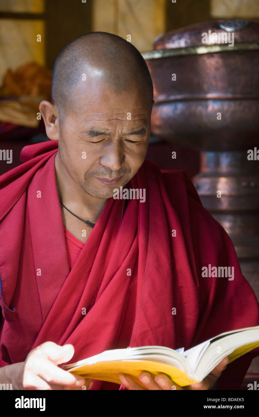 Monk reading book hi-res stock photography and images - Alamy