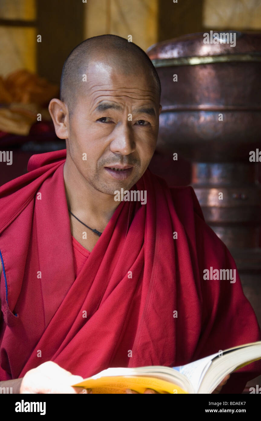 Monk reading a book in a monastery, Thiksey Monastery, Ladakh, Jammu ...
