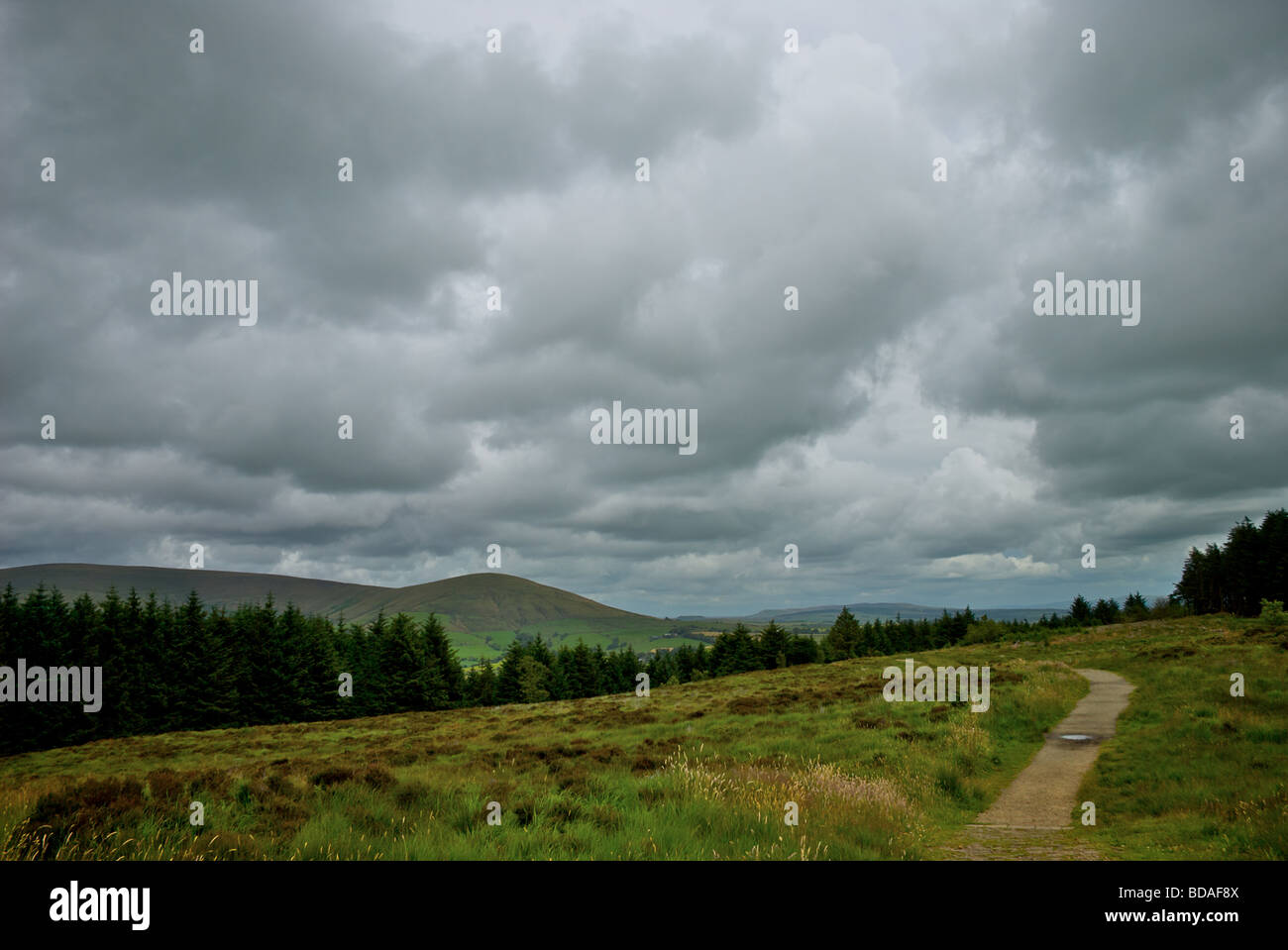 Beacon fell country park lancashire hi-res stock photography and images ...