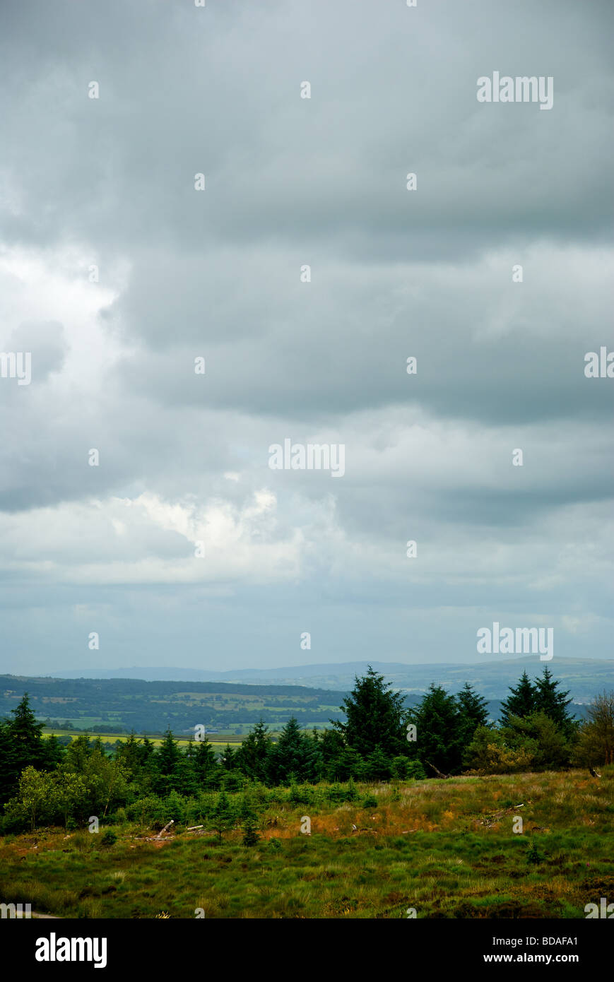 Beacon Fell National Park, Summer Stock Photo - Alamy
