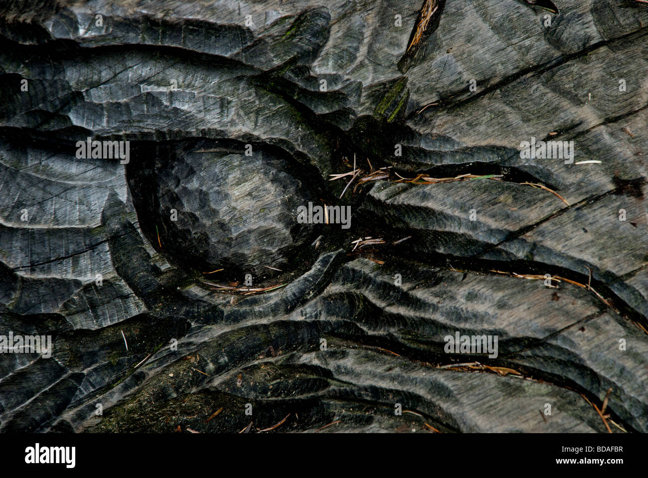 Eye wood carving hi-res stock photography and images - Alamy