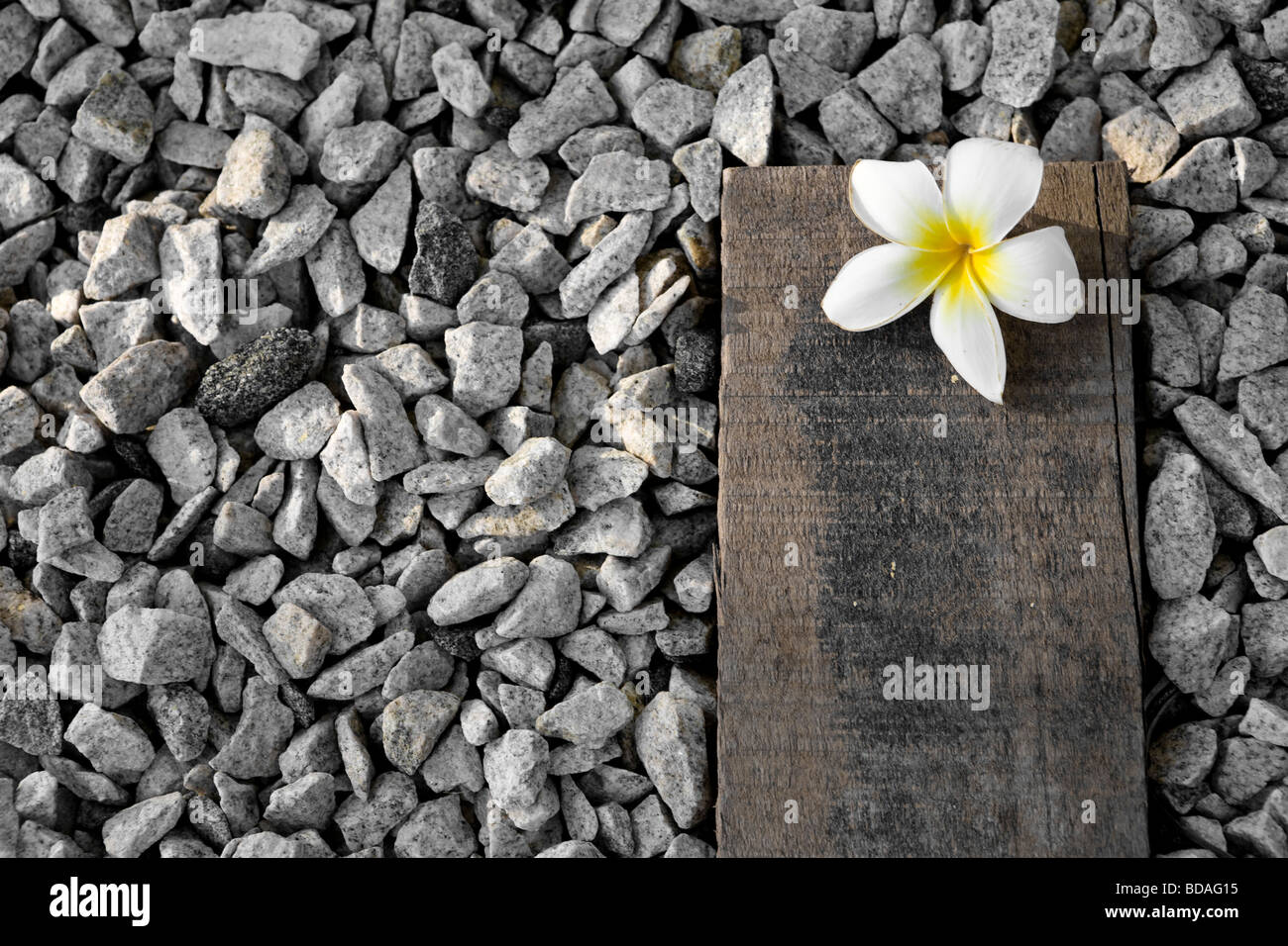 Photograph composition hi-res stock photography and images - Alamy