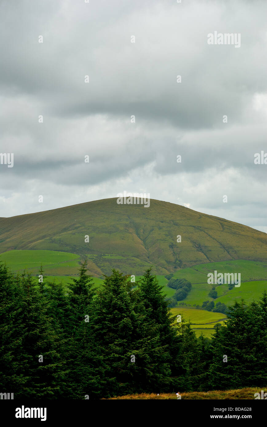 Beacon fell country park hi-res stock photography and images - Alamy