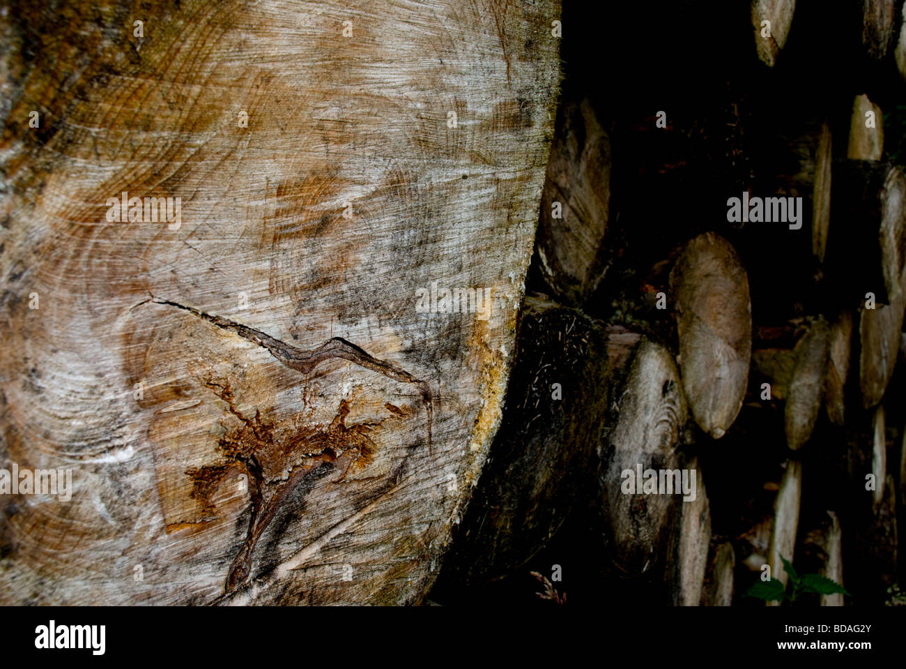 Building log pile hi-res stock photography and images - Alamy