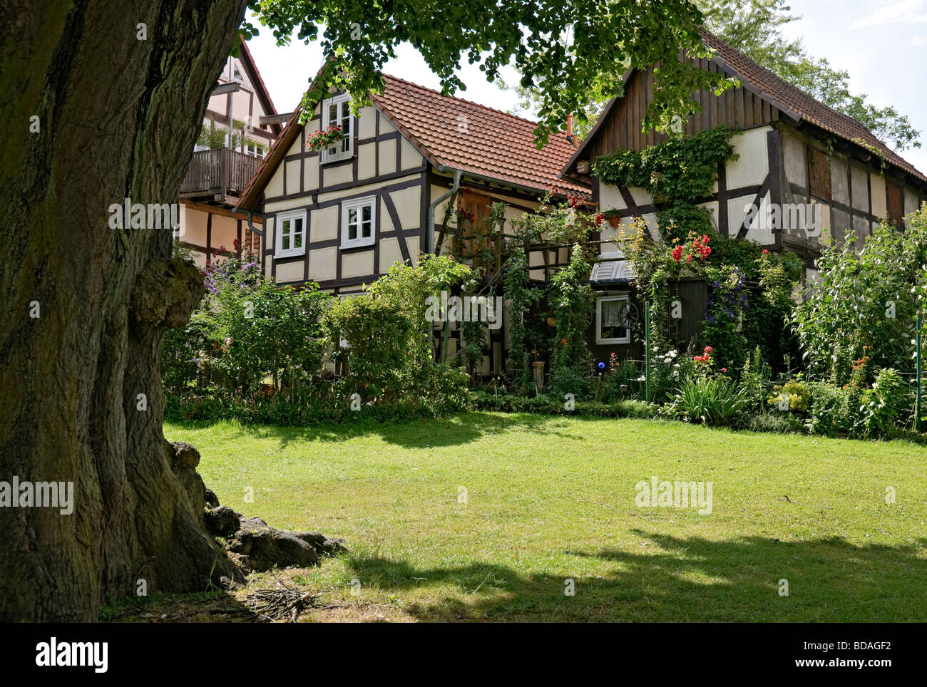 Backs of half-timbered houses, Korbach, Hesse, Germany Stock Photo - Alamy
