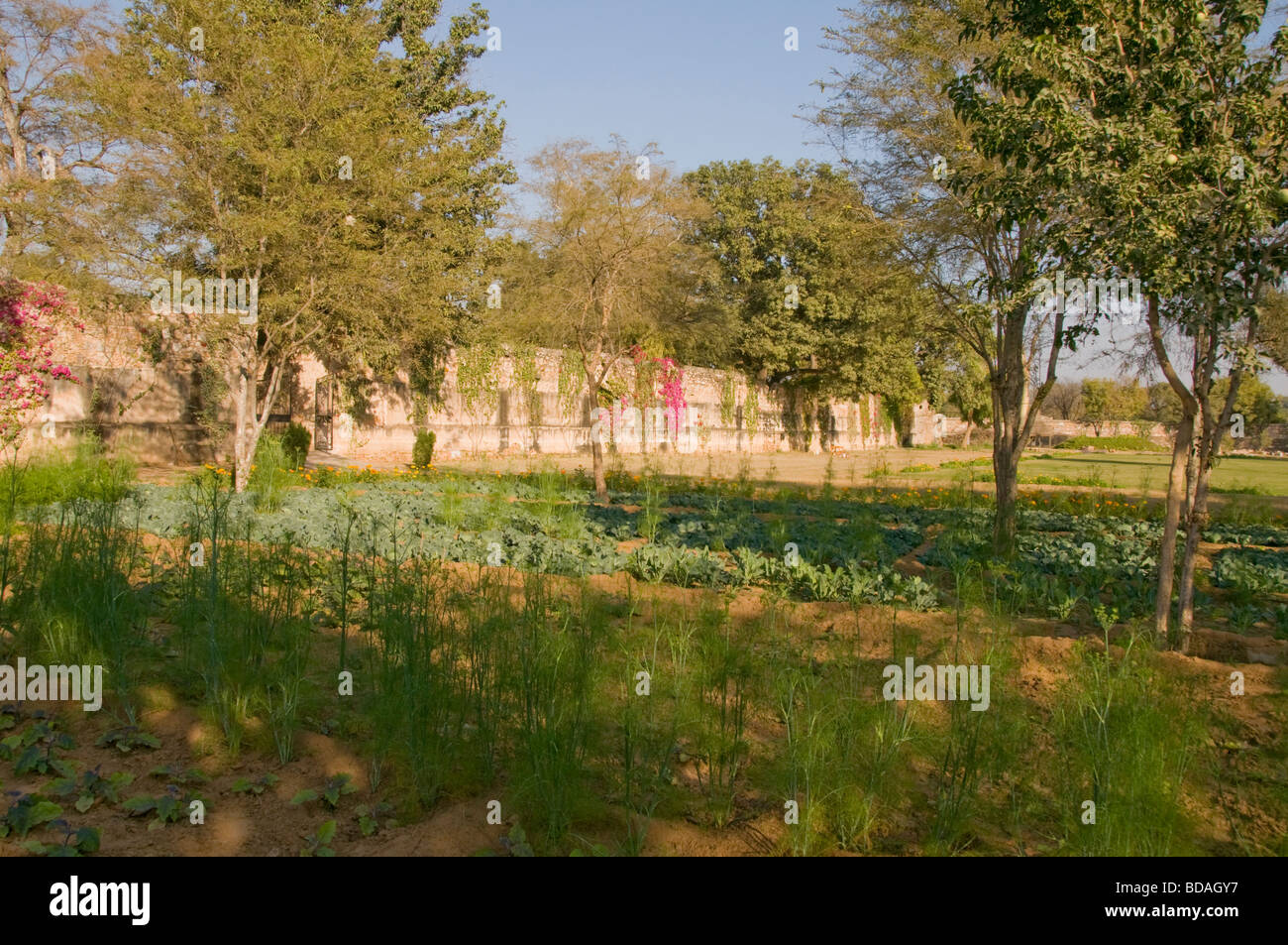 Samoda palace gardens hi-res stock photography and images - Alamy