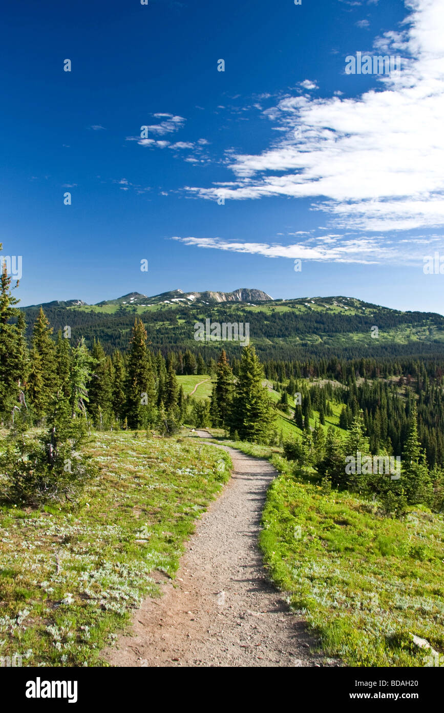 Trail through an alpine meadow in Manning Provincial Park, British ...