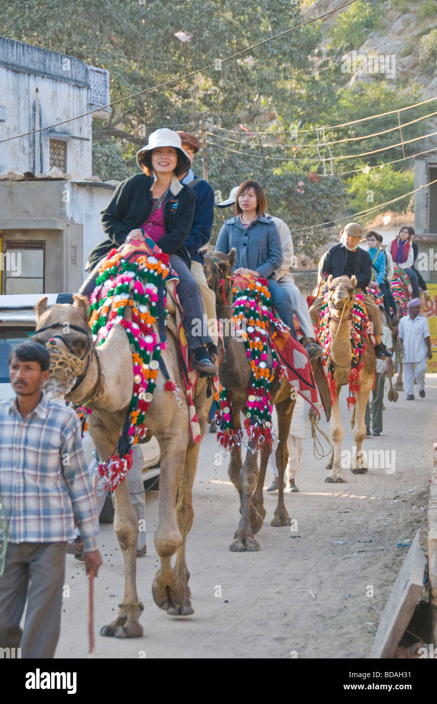 Japanese Tourists,camel Riding,Samode,Near Jaipur,Rajasthan,India Stock ...