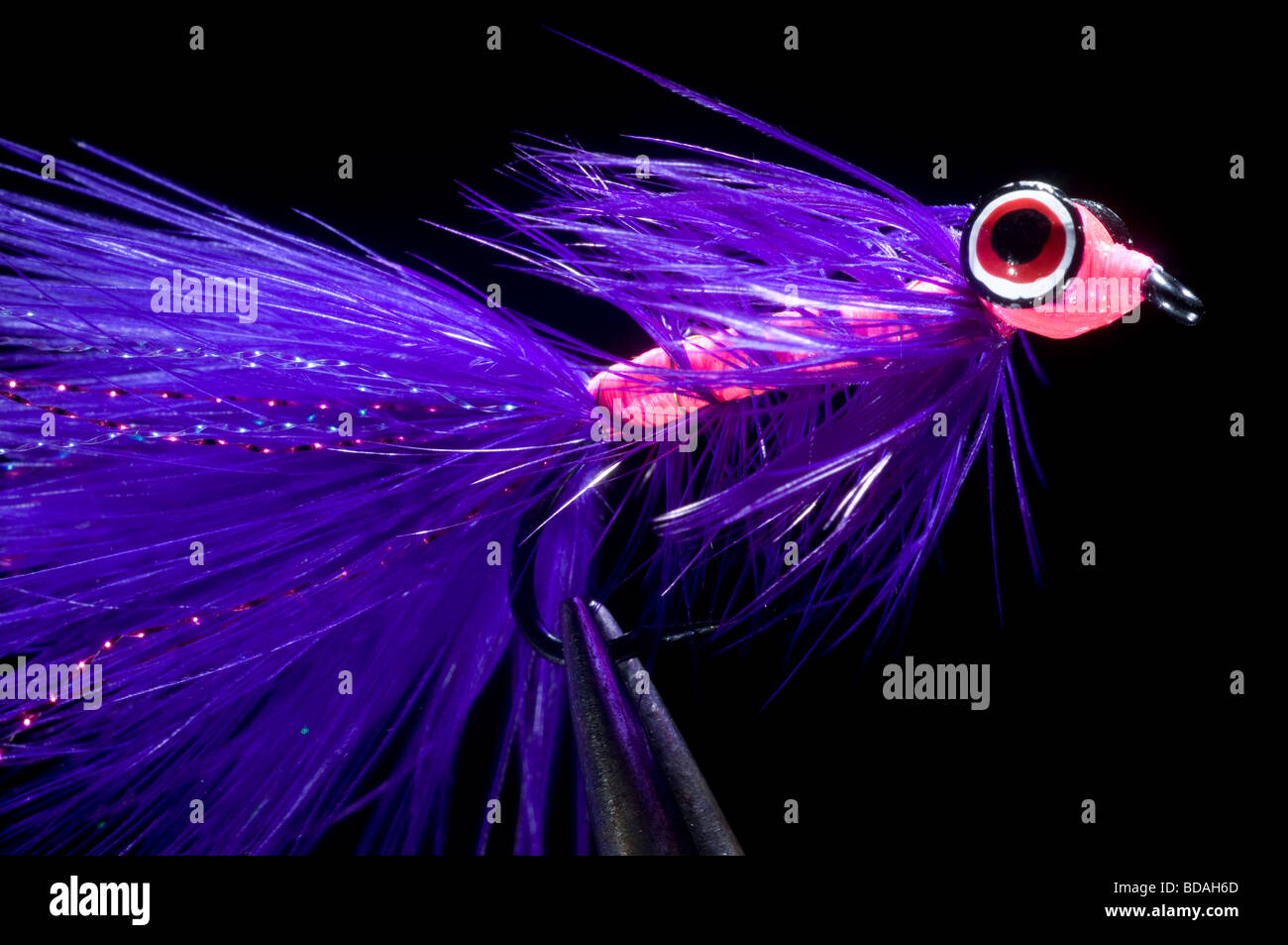Fly fishing reel water hi-res stock photography and images - Alamy