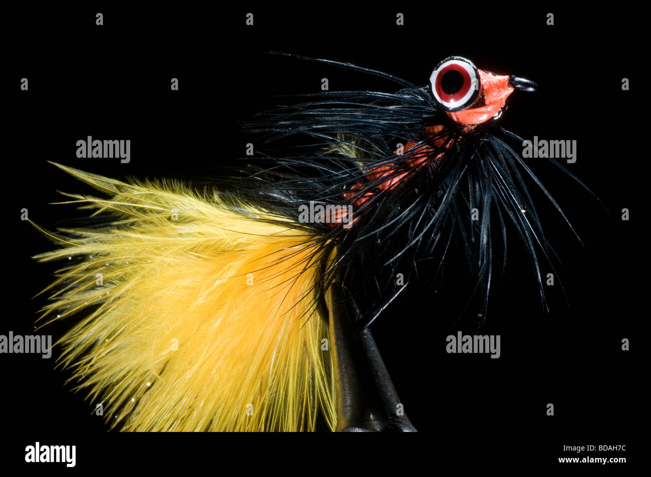 Fly fishing fish hi-res stock photography and images - Alamy