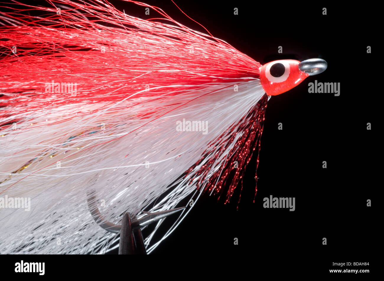 Tail as lure hi-res stock photography and images - Alamy