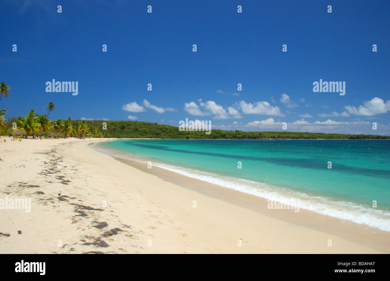 The perfect Caribbean beach, Sun Bay, Vieques Island, Puerto Rico Stock ...