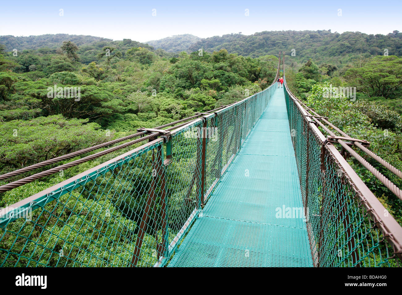 costa rica monteverde cloud forest national park tropical rain forest ...