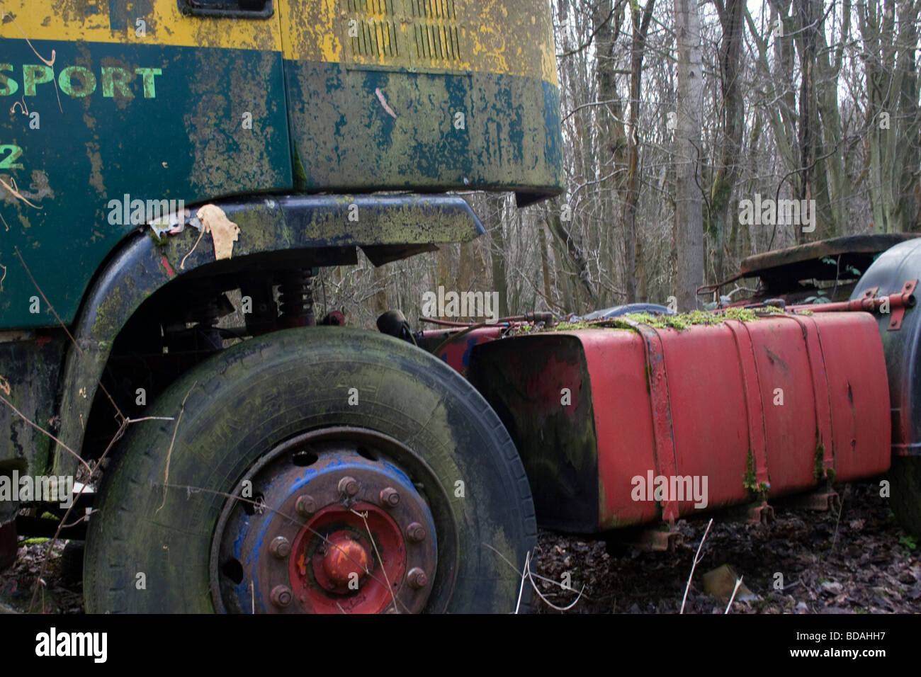 A lorry in a forest Stock Photo - Alamy