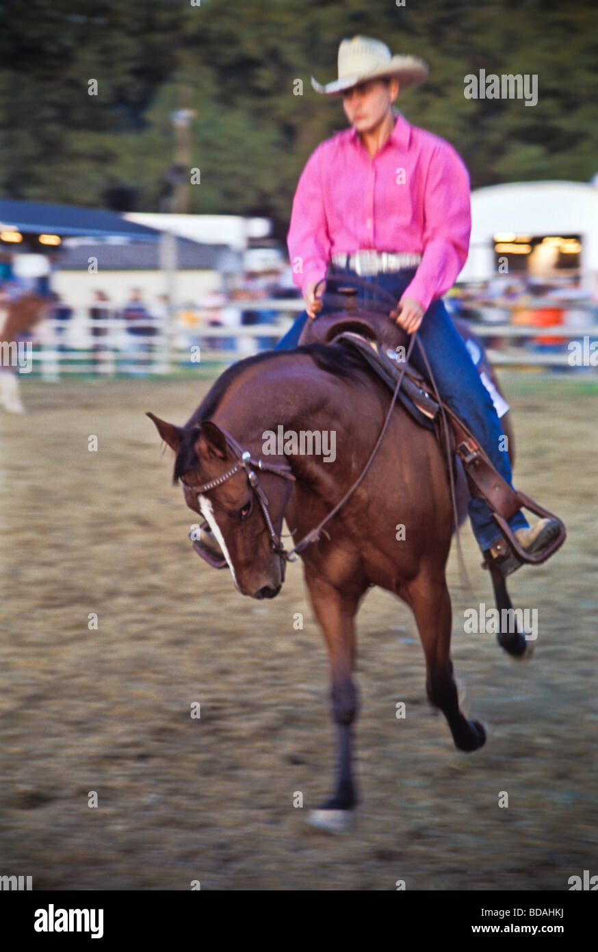 Cowboy put horse through routine for rodeo judges at county fair Stock ...