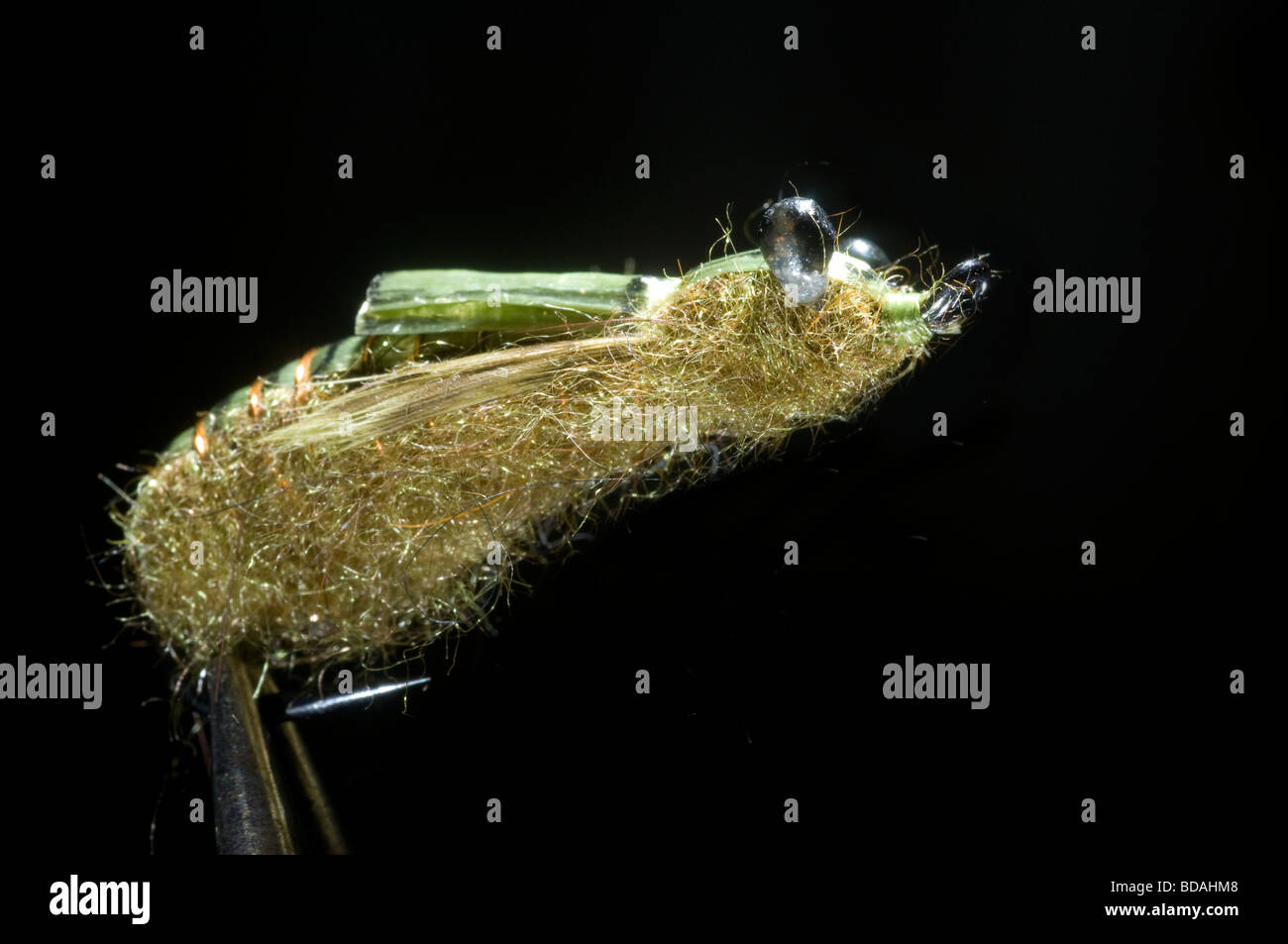 Fresh water fishing fly Stock Photo - Alamy