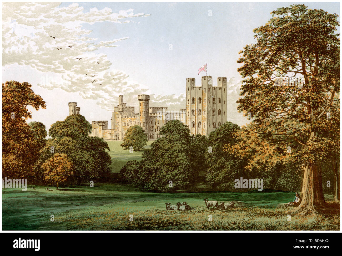 Penrhyn castle wales garden hi-res stock photography and images - Alamy