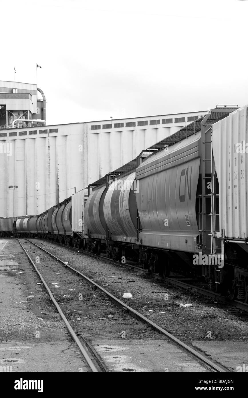 Train cars line up beside grain terminal, North Vancouver, BC Stock ...
