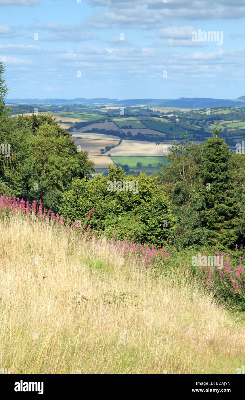 The Shropshire Hills around Church Stretton Stock Photo - Alamy