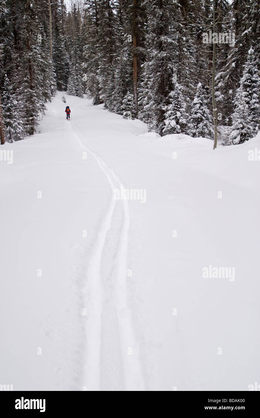 Patrick benzie hi-res stock photography and images - Alamy