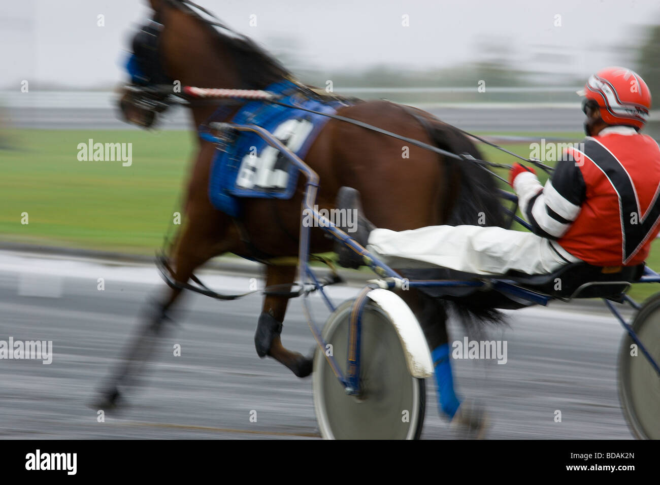 Horses and jockeys participate in harness racing during a rainy day in ...